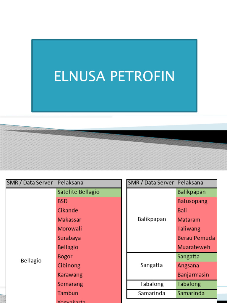 Elnusa Petrofin | PDF