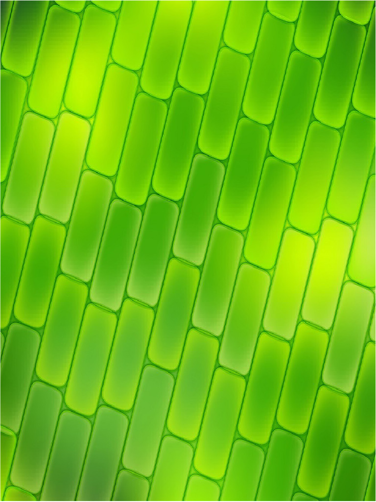 Bulletin Background | PDF