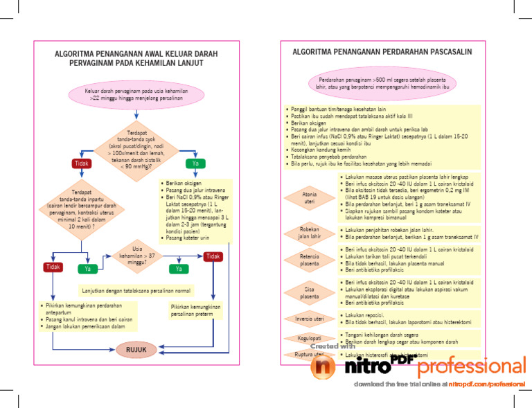 Algoritma Perdarahan | PDF