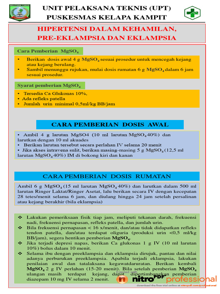 Pemberian Mgso4 | PDF