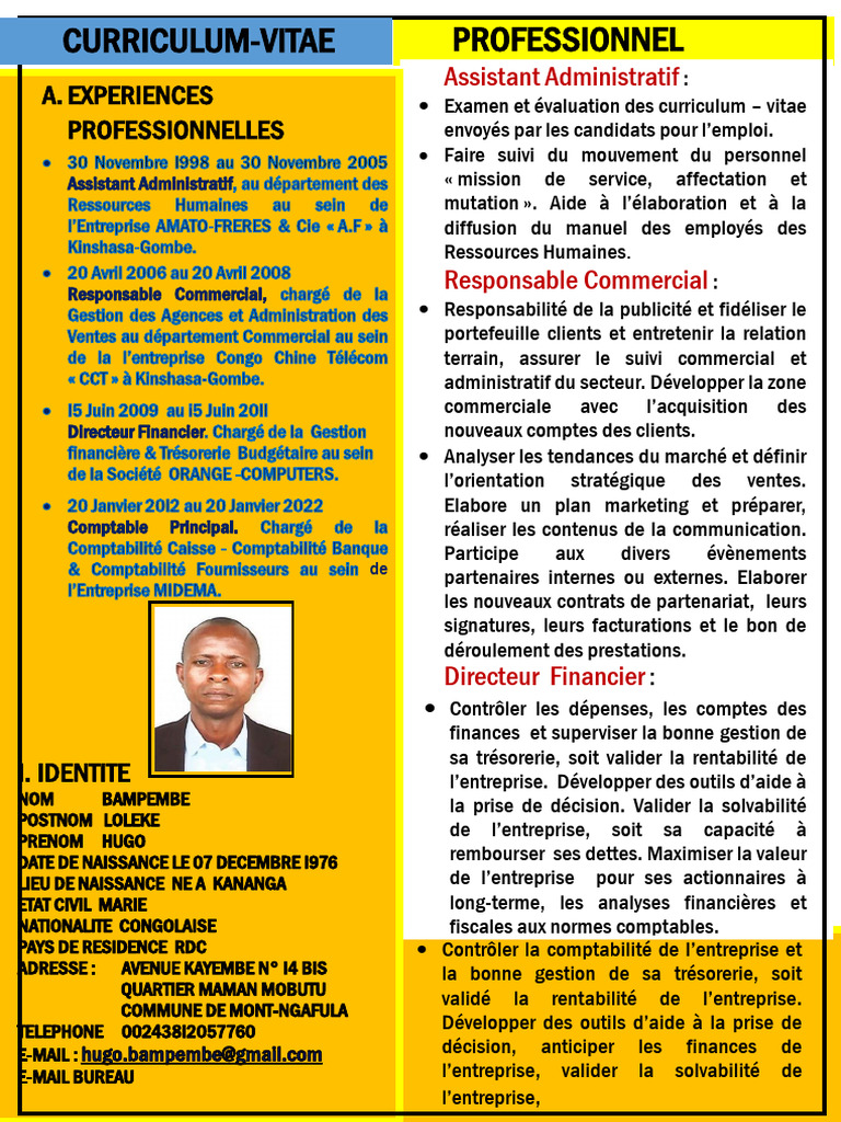 Curriculum Vitae de Hugo Bampembe | PDF | Business | Comptabilité