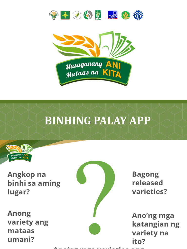 Special Topic 1 Binhing Palay App | PDF