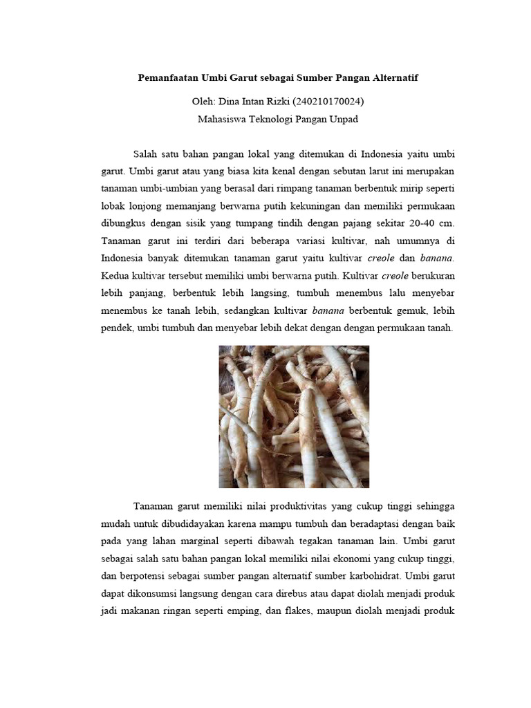 Artikel Pemanfaatan Umbi Garut Sebagai Sumber Pangan Alternatif | PDF