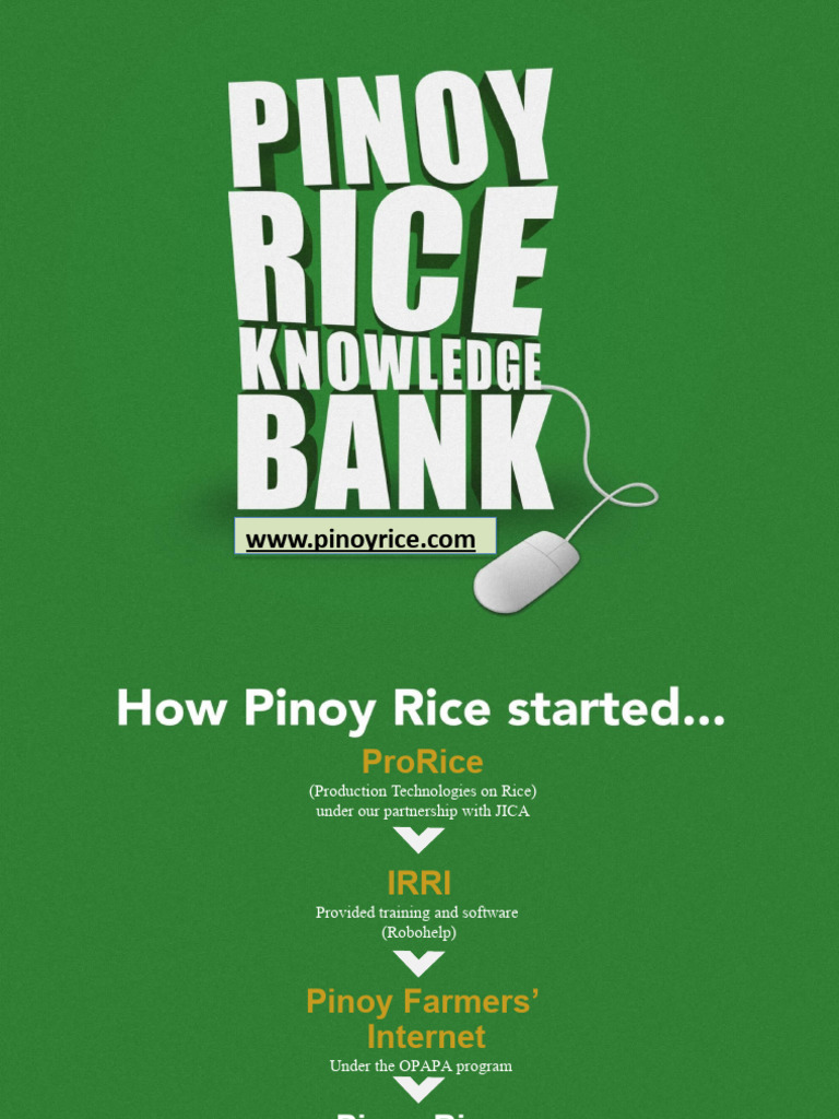 Pinoy Rice Knowledge Bank | PDF