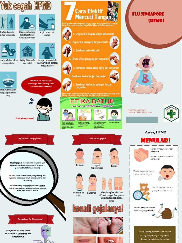 Panduan HFMD: Gejala dan Pencegahan | PDF
