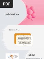 12 Field Guide - Philippine Beach Forest Species | PDF | Plants | Botany