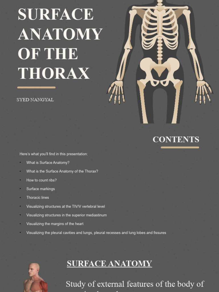Surface Anatomy of Thorax | Download Free PDF | Thorax | Aorta