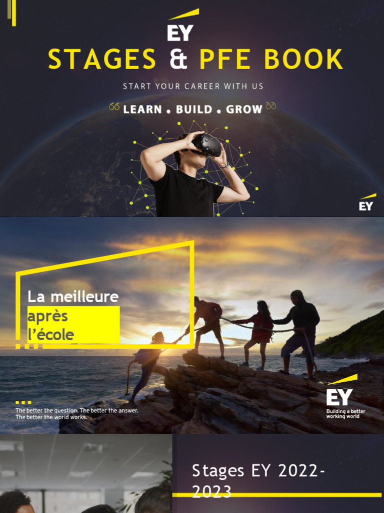 Stages Et Pfe Book Ey 2022 2023 | PDF | Sécurité | Sécurité des systèmes d'information