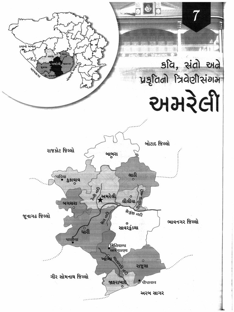 7 - Amreli Jilo | PDF
