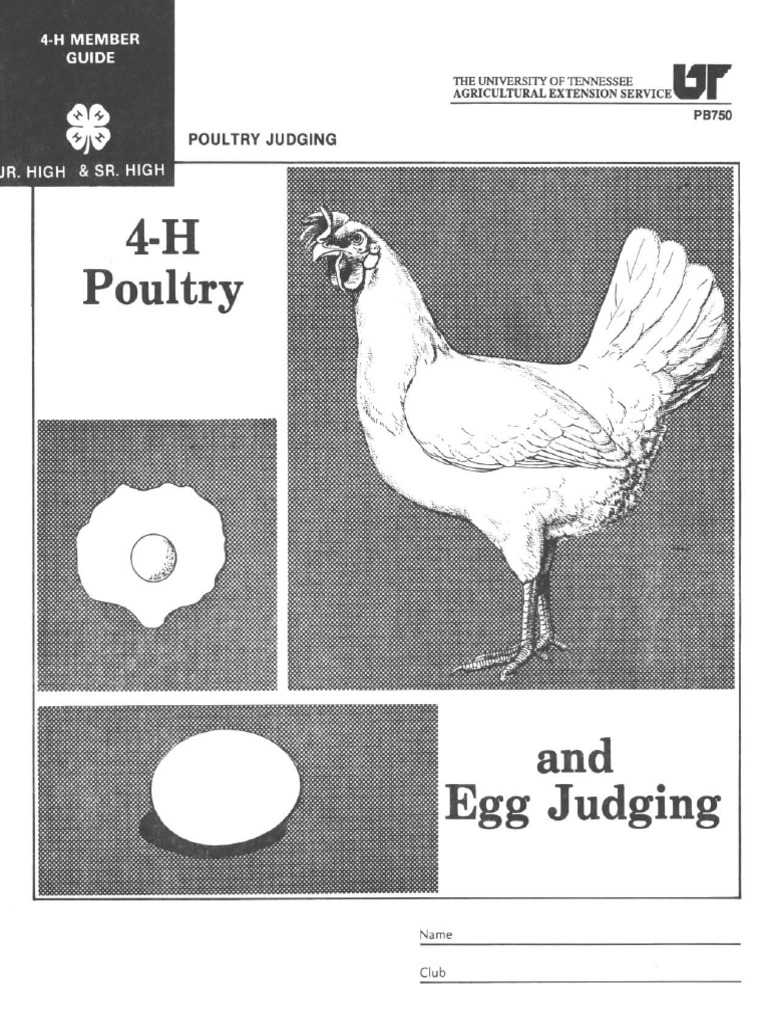 Chick Chain POULTRY JUDGING PB750 | PDF