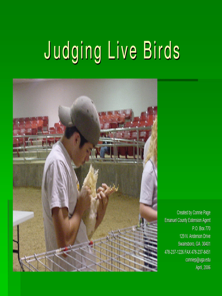 Judging Live Birds | PDF | Beak | Feather