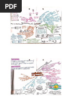 French Threshold o Level | PDF