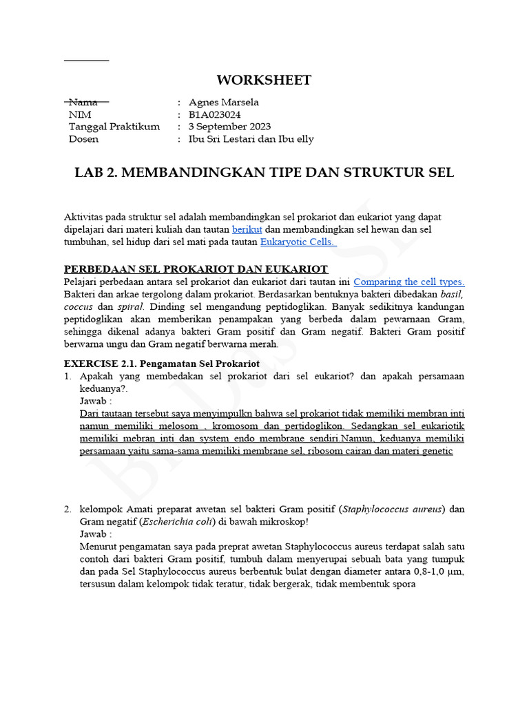 Agnes Marsela - Worksheet - Lab 2 - Cell Structure - 2023 | PDF