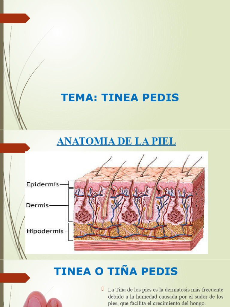 Tinea Pedis | PDF | Inmunología | Microbiología