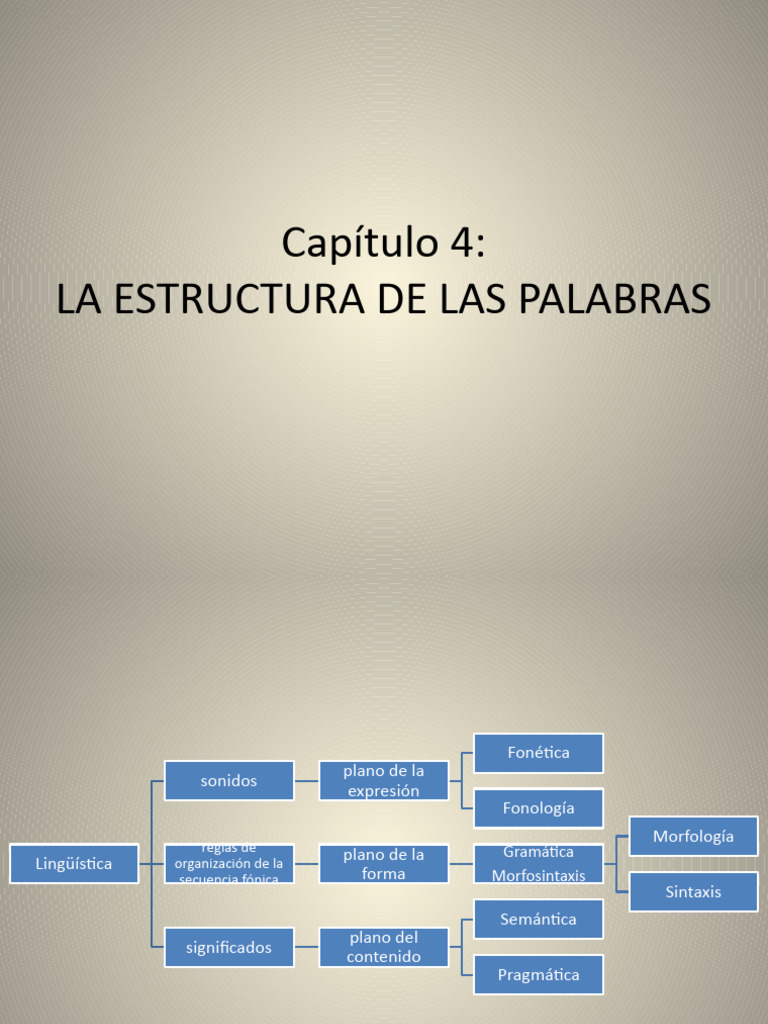 4.estructura de Las Palabras | PDF | Palabra | Verbo