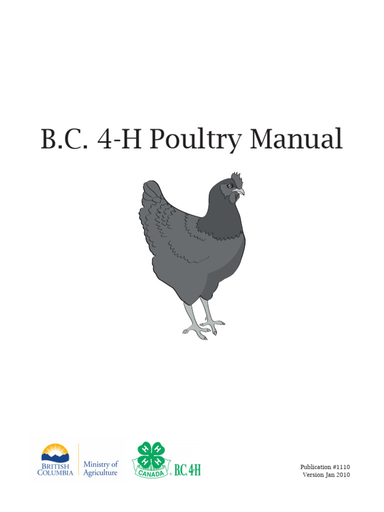 Poultry Activity Guide | PDF | Poultry | Chicken