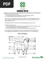 Goat and Sheep Reproductive System | PDF | Reproductive System ...