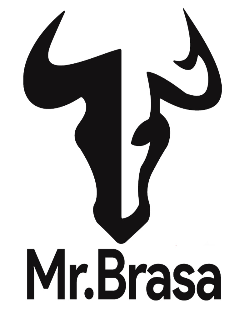 Logo Mr. Brasa 1 | PDF