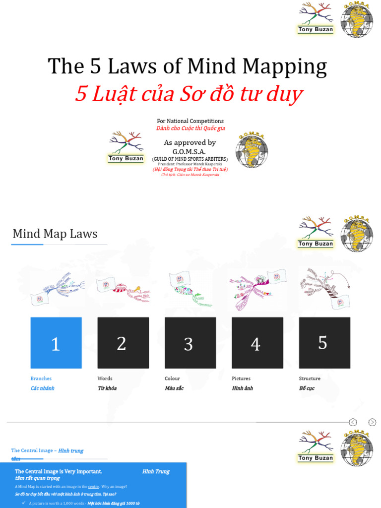 Mind Mapping Practitioner - Level 3 | PDF