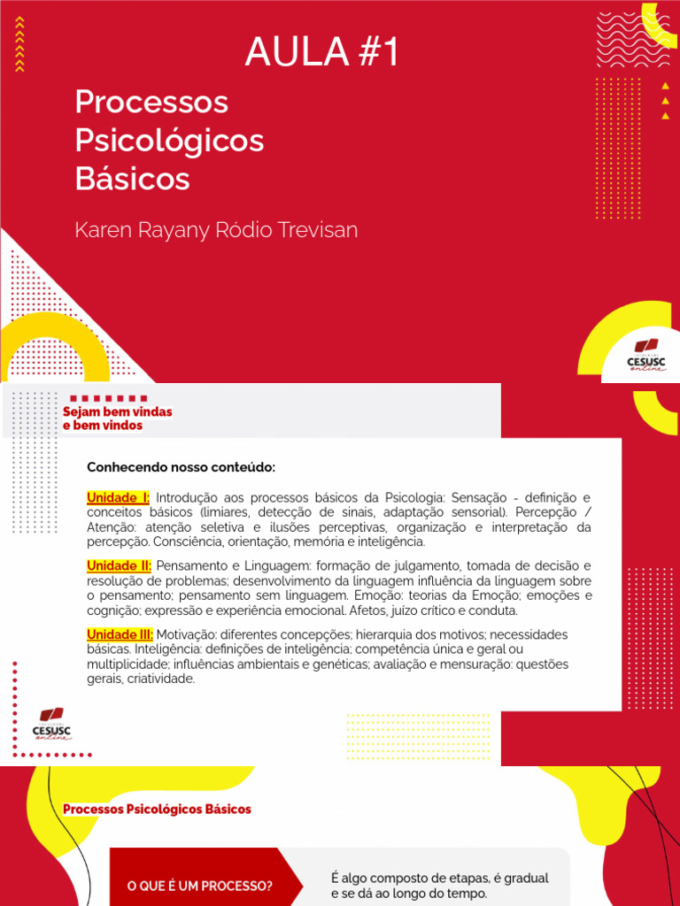 Slides N1 Processos Psicologicos Basicos | PDF | Atenção | Psicologia Slides N1 Processos Psicologicos Basicos | PDF | Atenção | Psicologia