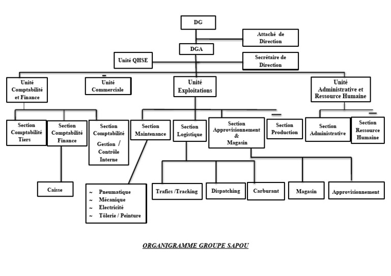 Proposition Organigrame Groupe Sapou | PDF