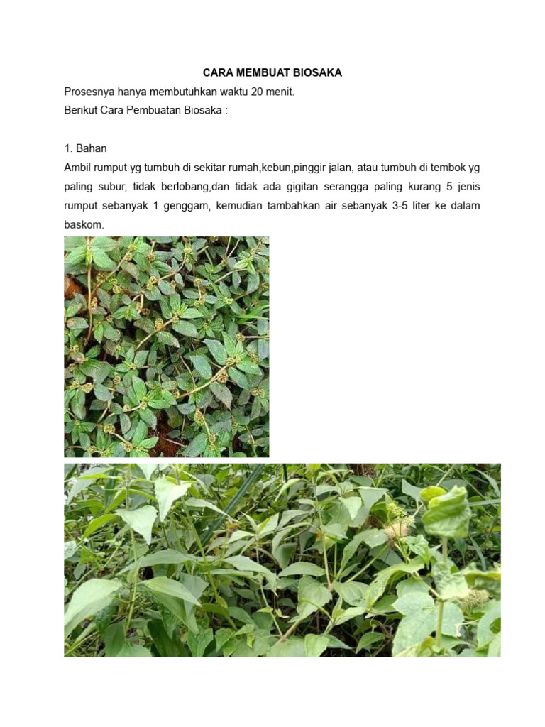 Cara Membuat Biosaka | PDF