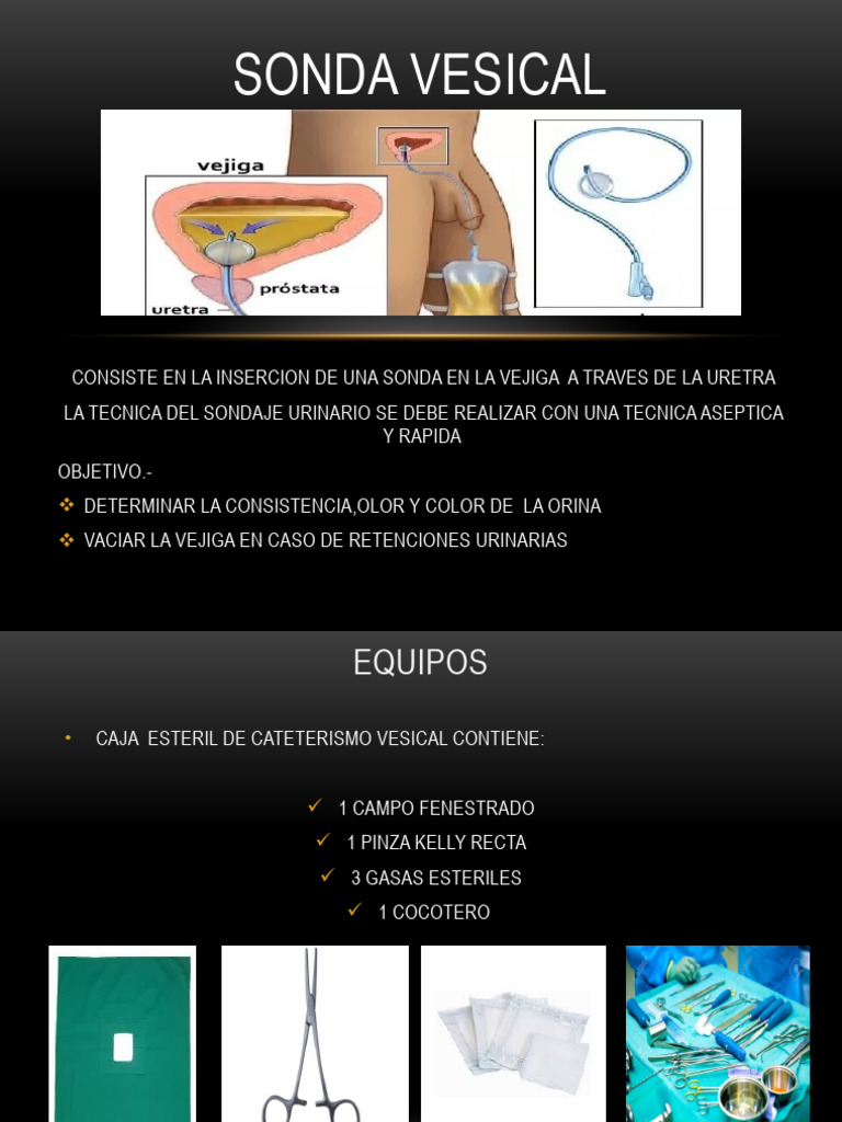 Sonda Vesical | PDF | Anatomía humana | Especialidades Quirúrgicas