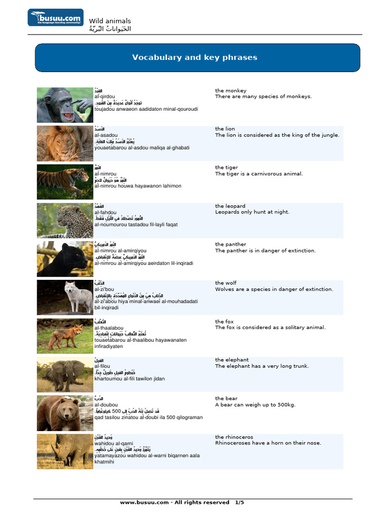 Wild Animals - Busuu | PDF | Leopard | Elephant