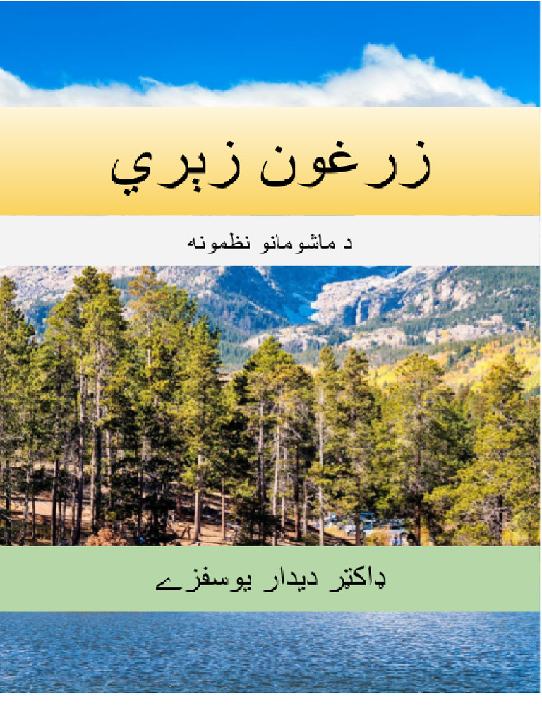 Zarghun Zeeri | PDF