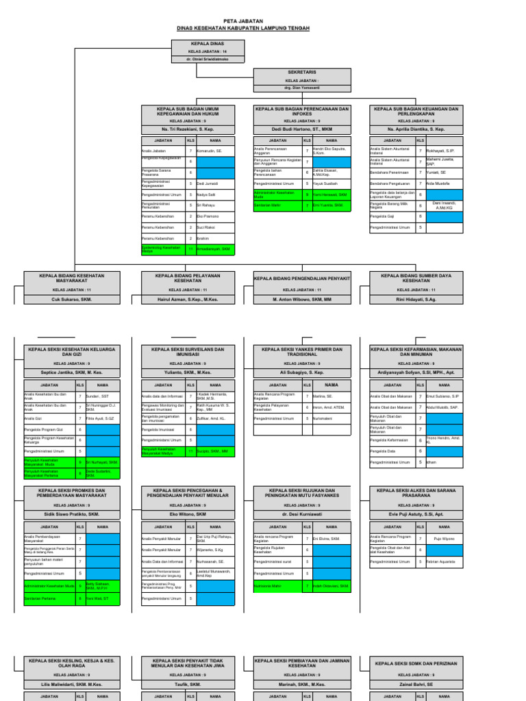 Peta Jabatan Dinkes | PDF