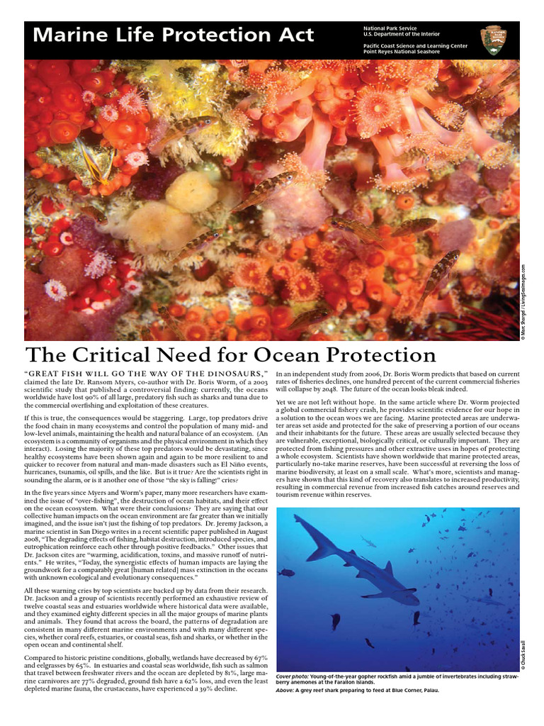 Ocean Protection and Marine Biodiversity | PDF | Coast | Physical Geography