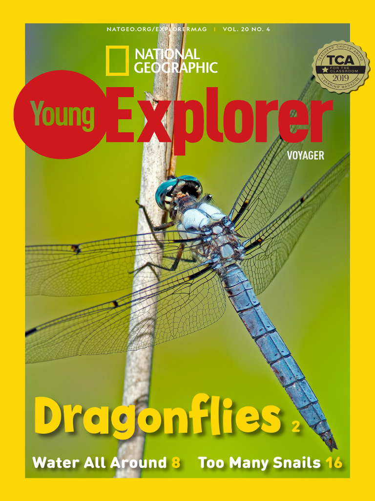 Dragonflies | PDF | Water | Dragonfly