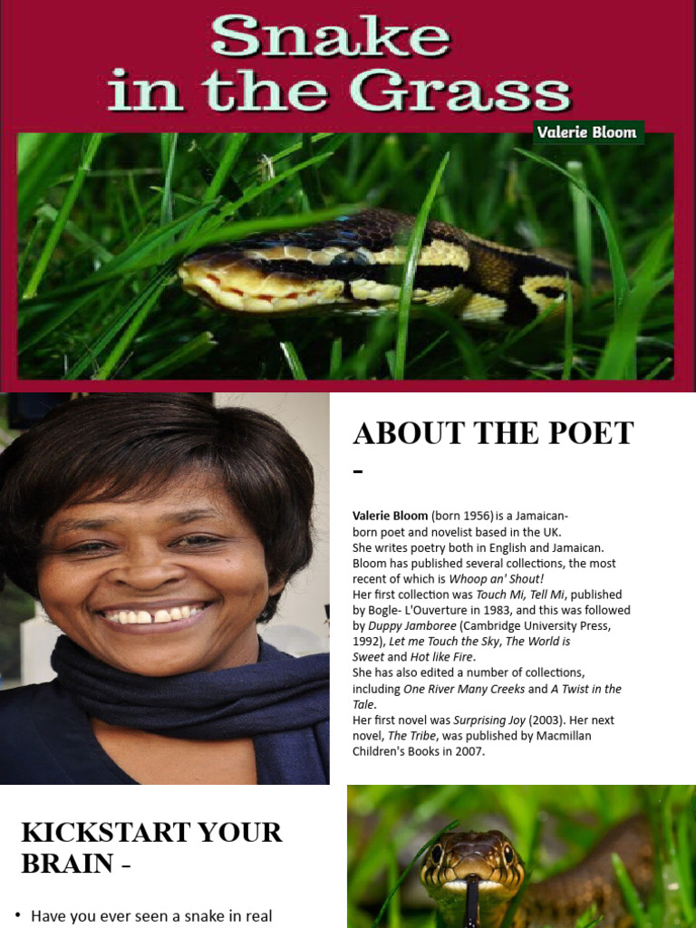 Snake in The Grass | PDF | Anthropomorphism | Metaphor
