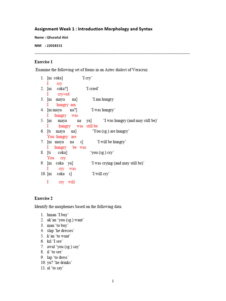 MORSYN Exercises 1 | PDF | Syntactic Relationships | Syntax