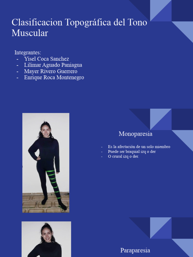 Topografía Del Tono Muscular | PDF