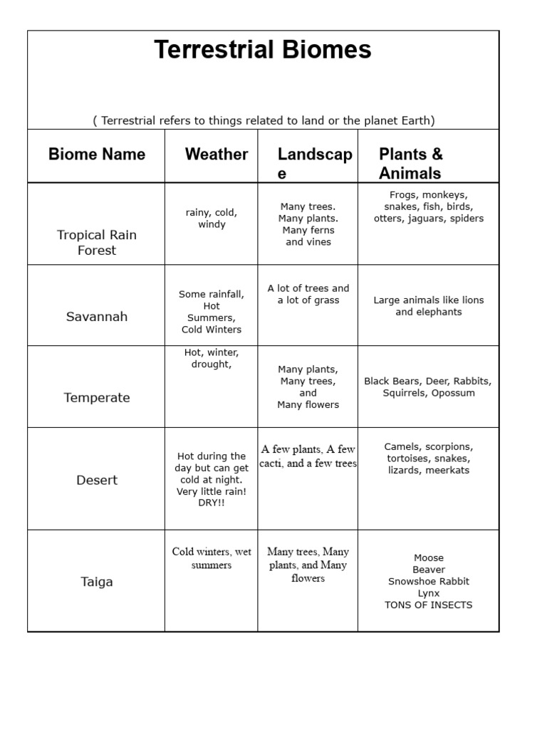 Land and Water Biomes Worksheet | PDF | Rain | Ecology