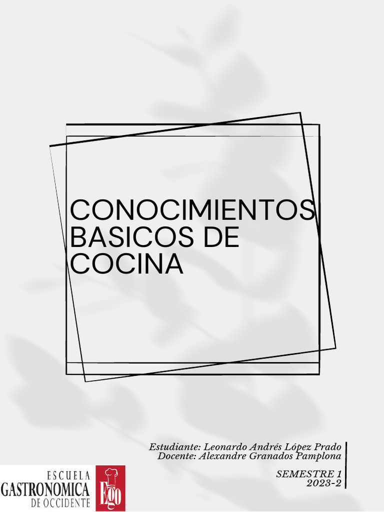 Conocimientos Basicos de Cocina | PDF | Alimentos | Estufa de cocina