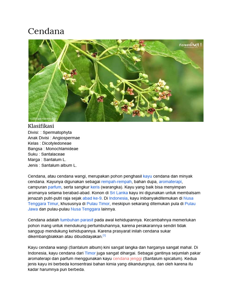 Cendana | PDF