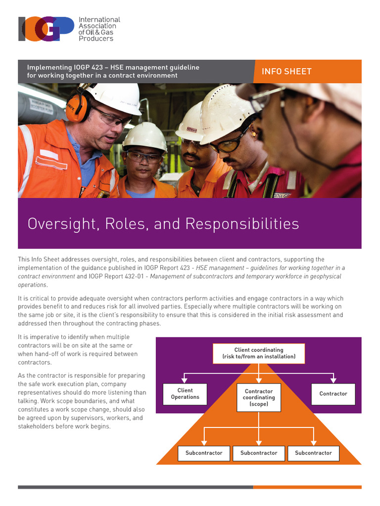 Oversight Roles and Responsibilities Info Sheet | Download Free PDF ...