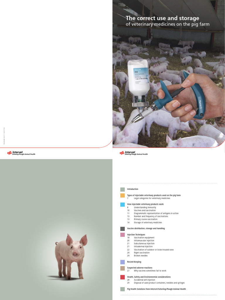 Vaccination Guide | PDF | Immunity (Medical) | Vaccines