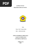 Morfologi Dan Anatomi Tanaman Pinus | PDF