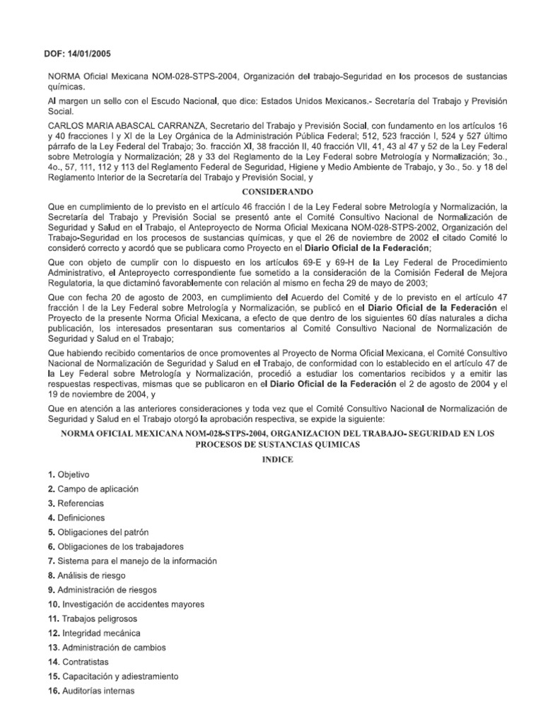 Nom 028 STPS 2004 | PDF