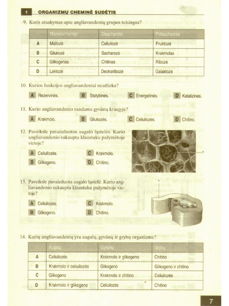Maistine Sudetis | PDF