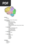 Human Brain | PDF | Self-Improvement