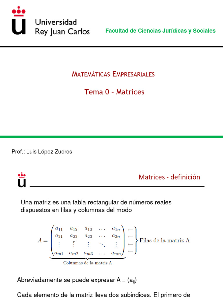 MatEmp - Tema 0 - Matrices | PDF | Matriz (Matemáticas) | Determinante
