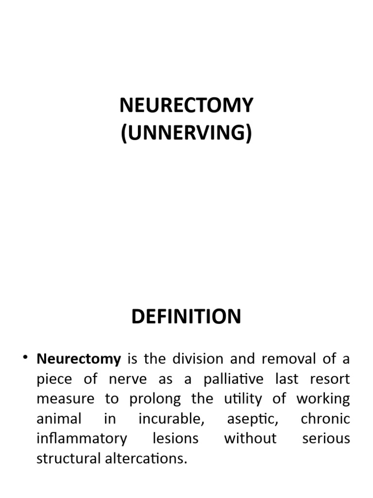 Neur Ectomy | PDF | Human Leg | Anatomical Terms Of Location