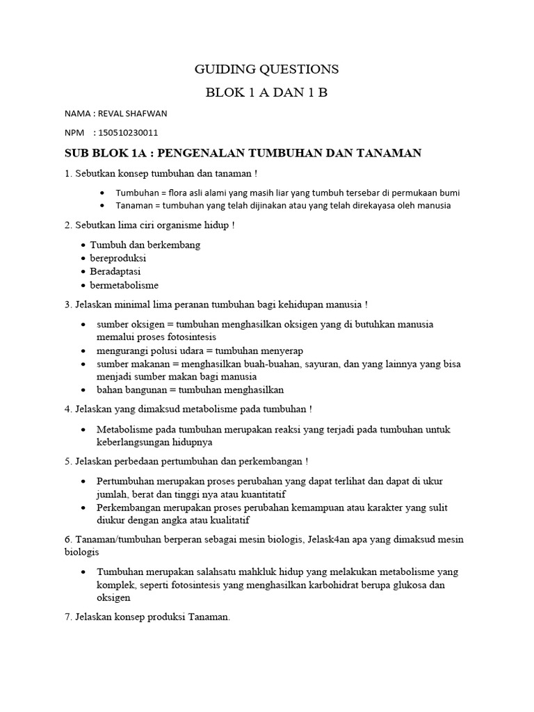 Guiding Questions | PDF