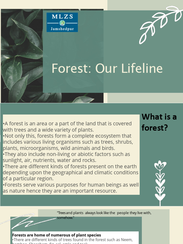 CH 17 Forest Our Lifeline | PDF | Soil | Forests