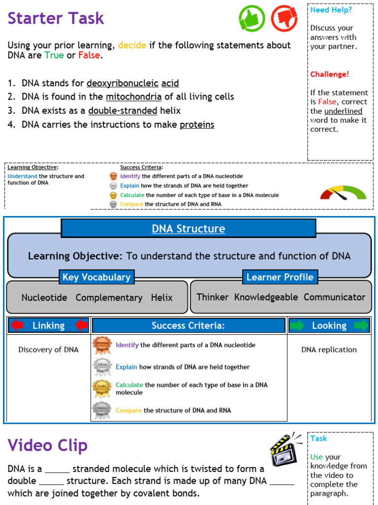 DNA Structure | PDF | Dna | Nucleic Acids