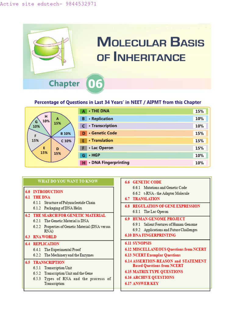 Molecular Basis of Inheritance | PDF | Dna | Nucleotides